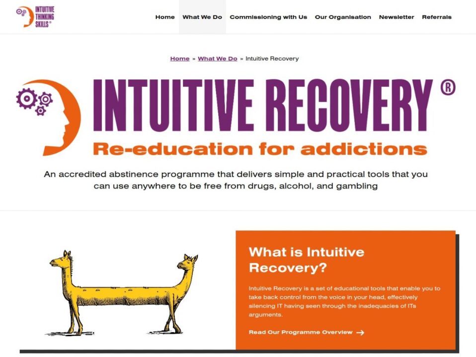 Intuitive Recovery: Intuitive Thinking Skills – Sober Eastbourne